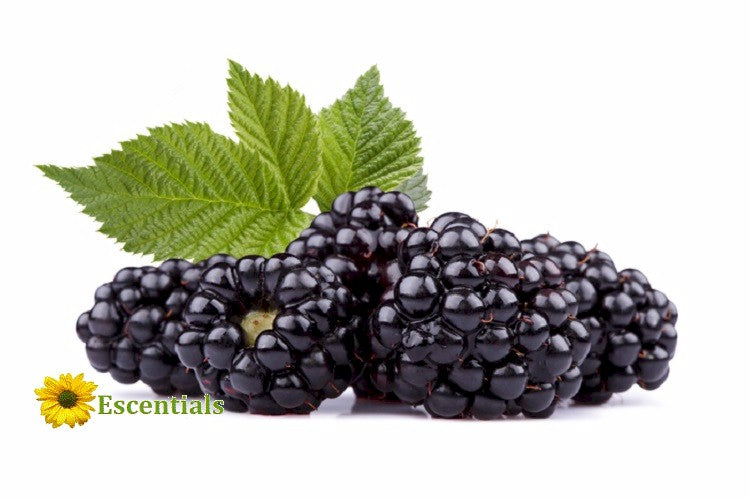 Black Raspberry Flavor Oil - Unsweetened - 1/2 Ounce – Escentials Oils ...